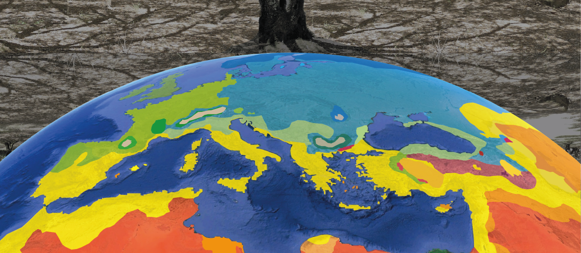 The End of the Roman Climate Optimum and the Disintegration of the ...
